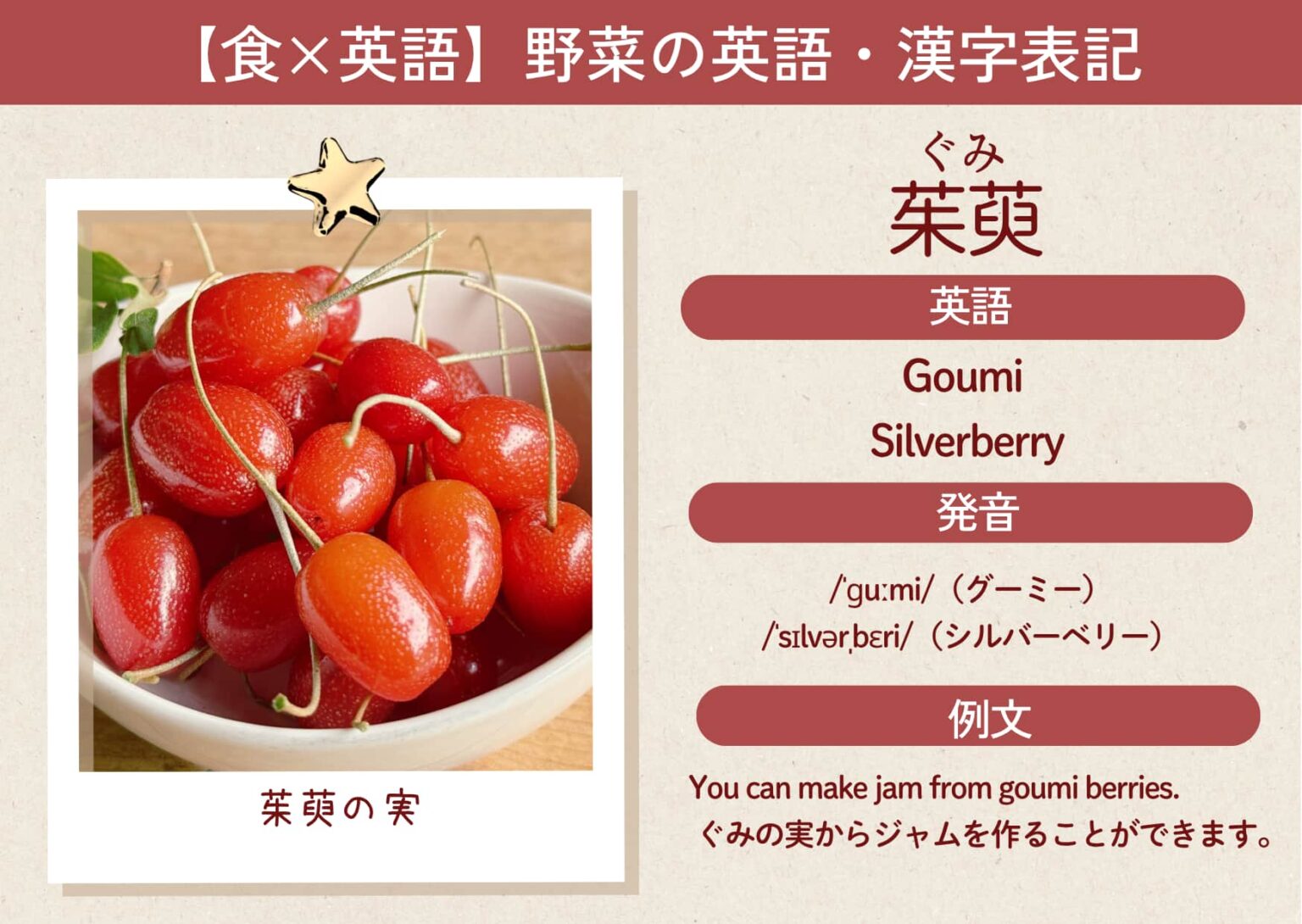 グミの実「茱萸」とは？旬・栄養・保存方法まで解説｜Goumi