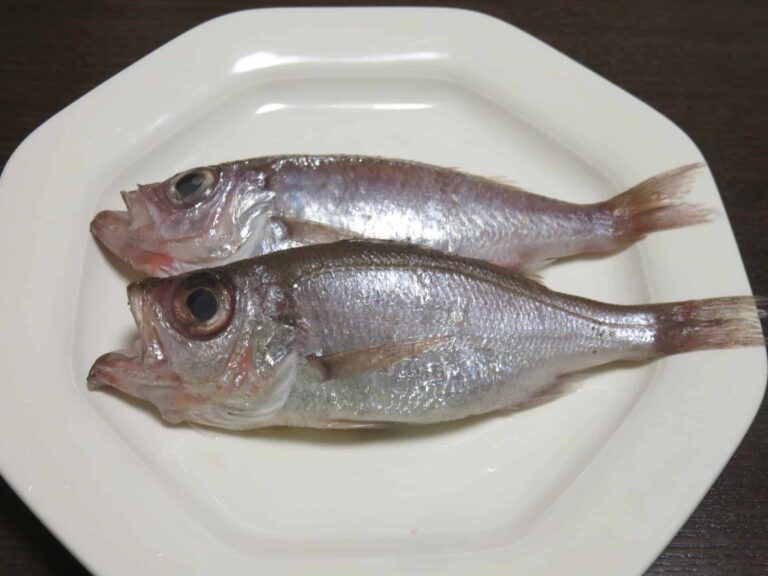 鯥 むつ（Japanese bluefish） - japanese-food.net