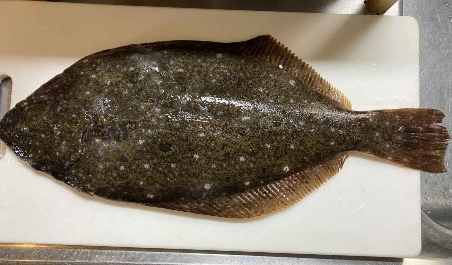 鮃 ひらめ（Flatfish） - japanese-food.net